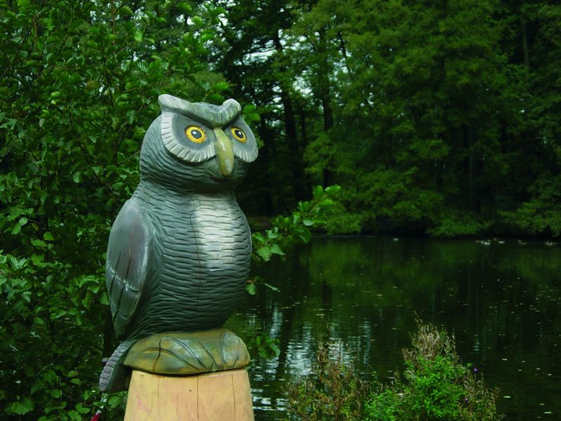 Fugl, Ugle | Alt til legepladsen | PlanLeg